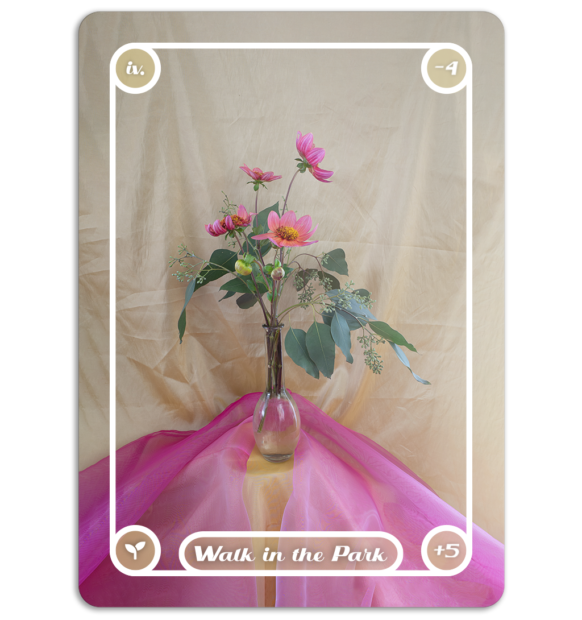 Flower Trading Cards | Saki Sato