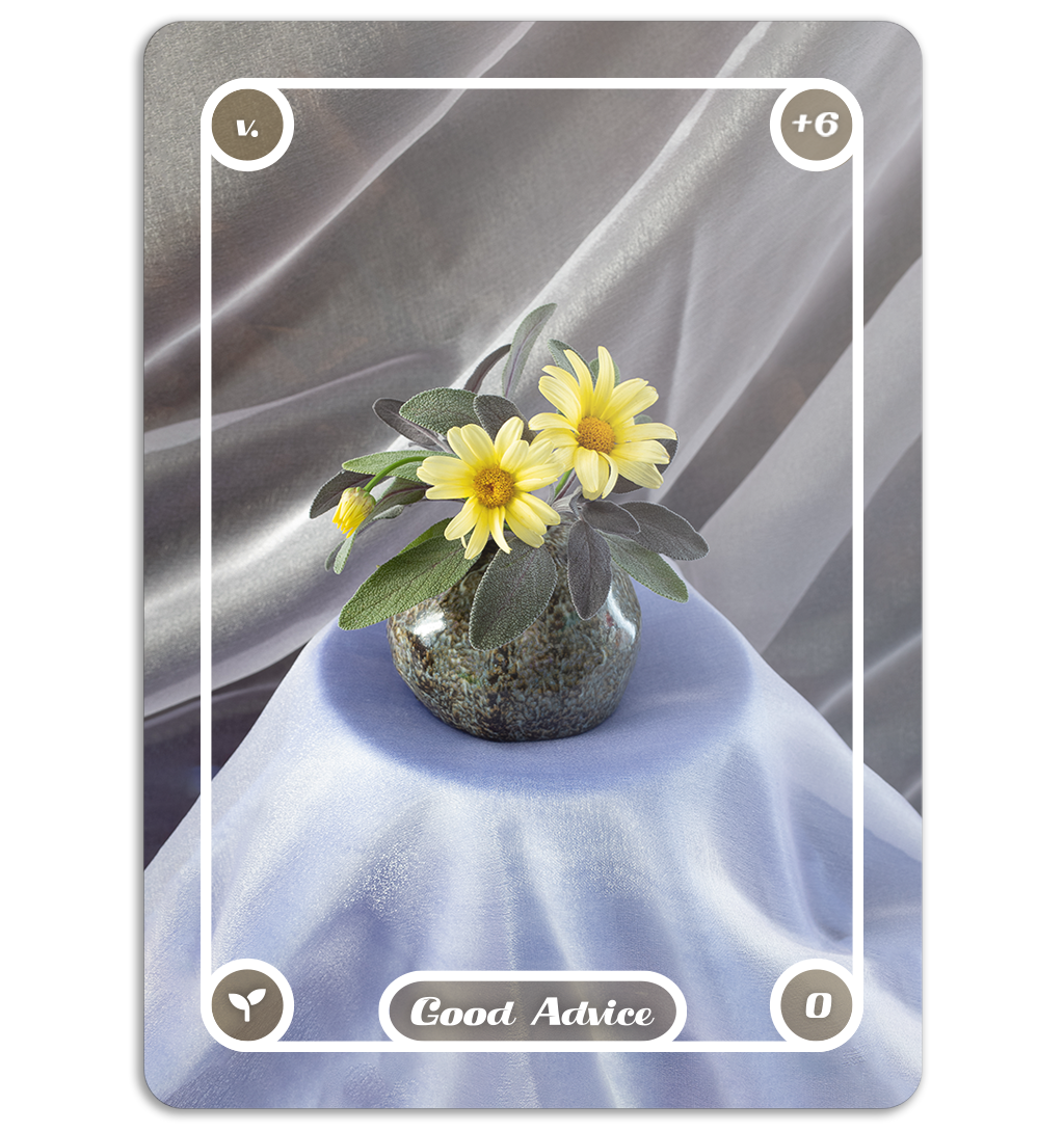 Flower Trading Cards | Saki Sato